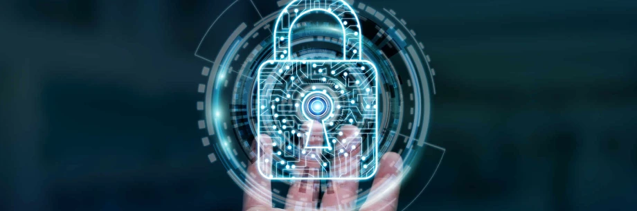 Ballast Security – Protection Insight